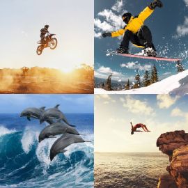 4 pics 1 word level 68